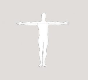 Archery Basics: Complete Beginner's Guide - Archery Guide