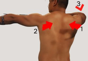 How to Draw a Bow in Archery - Archery Guide
