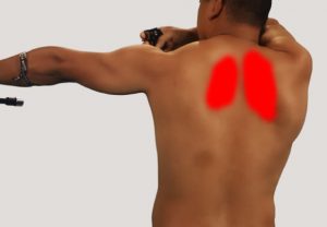 How to Draw a Bow in Archery - Archery Guide