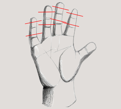 How to Draw a Bow in Archery - Archery Guide